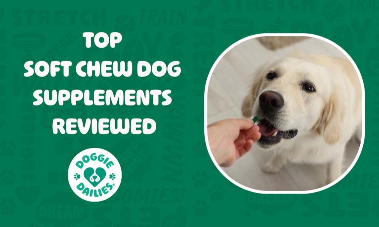 Top Soft Chew Dog Supplements Reviewed